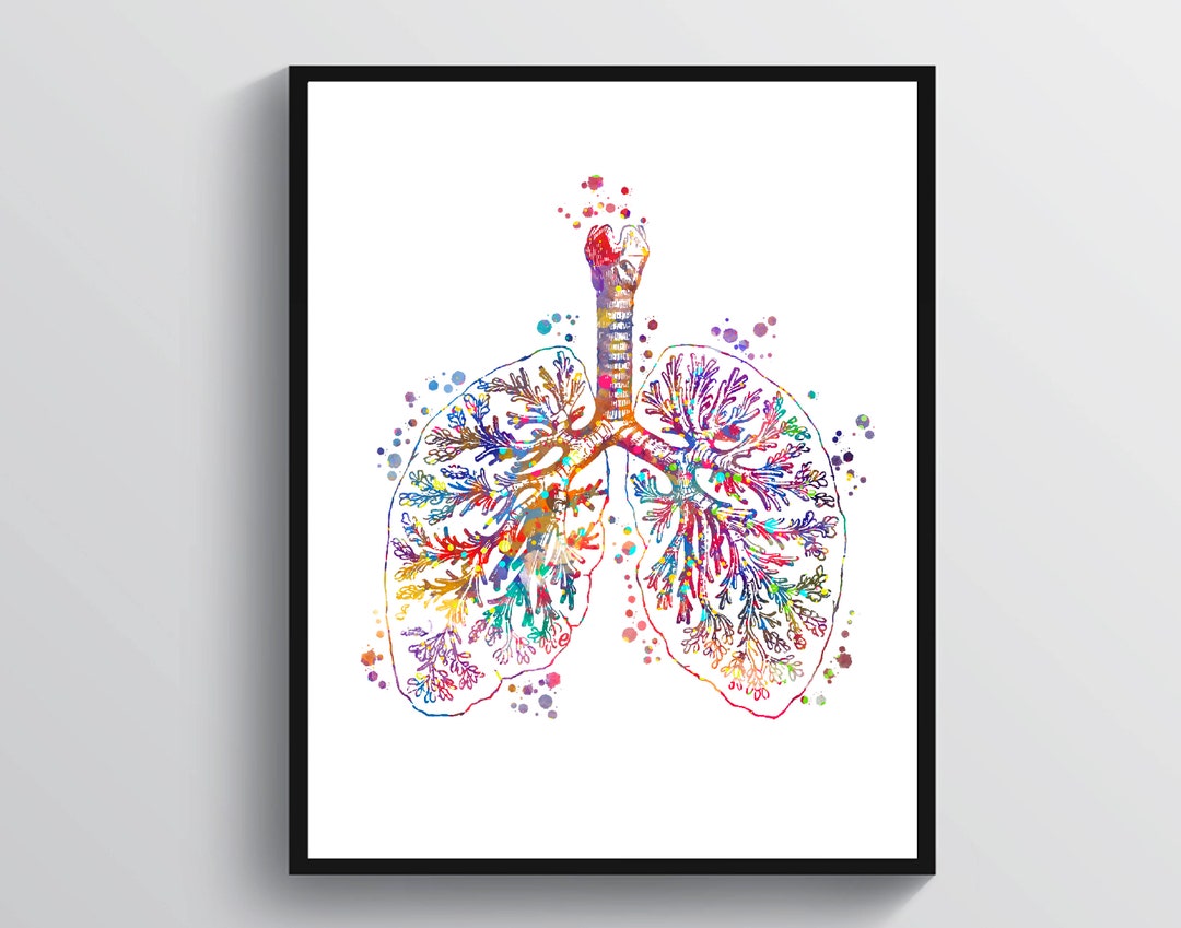 Watercolor Lungs Art Anatomy Art Medical Art Bronchial Tree Poster ...