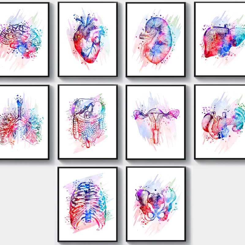 Medical Wall Decor - Etsy