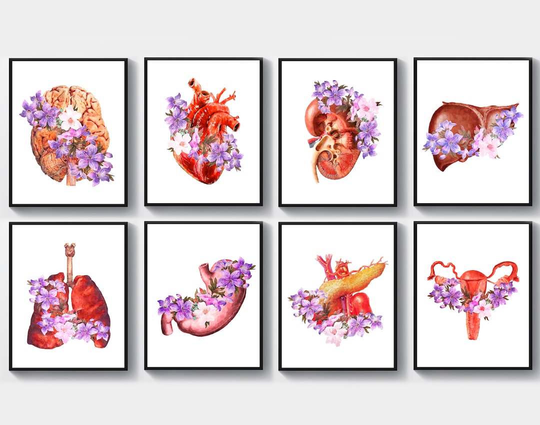 8 Watercolor Anatomy Art Anatomical Organ Artwork Medical Art Floral ...