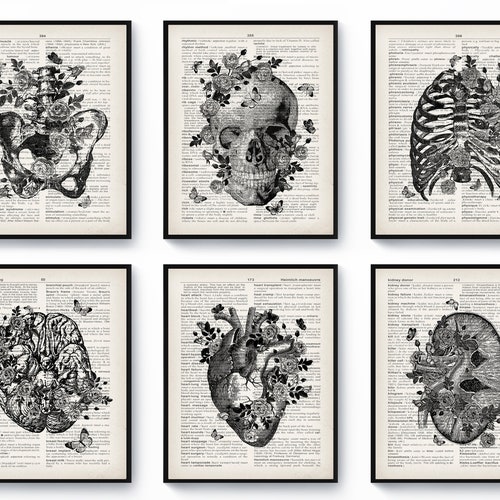 6 Medical Art Vintage Anatomy Decor Anatomical Heart Lungs - Etsy Canada