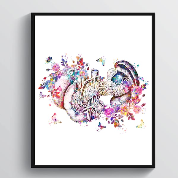 Endocrine System Poster - Etsy