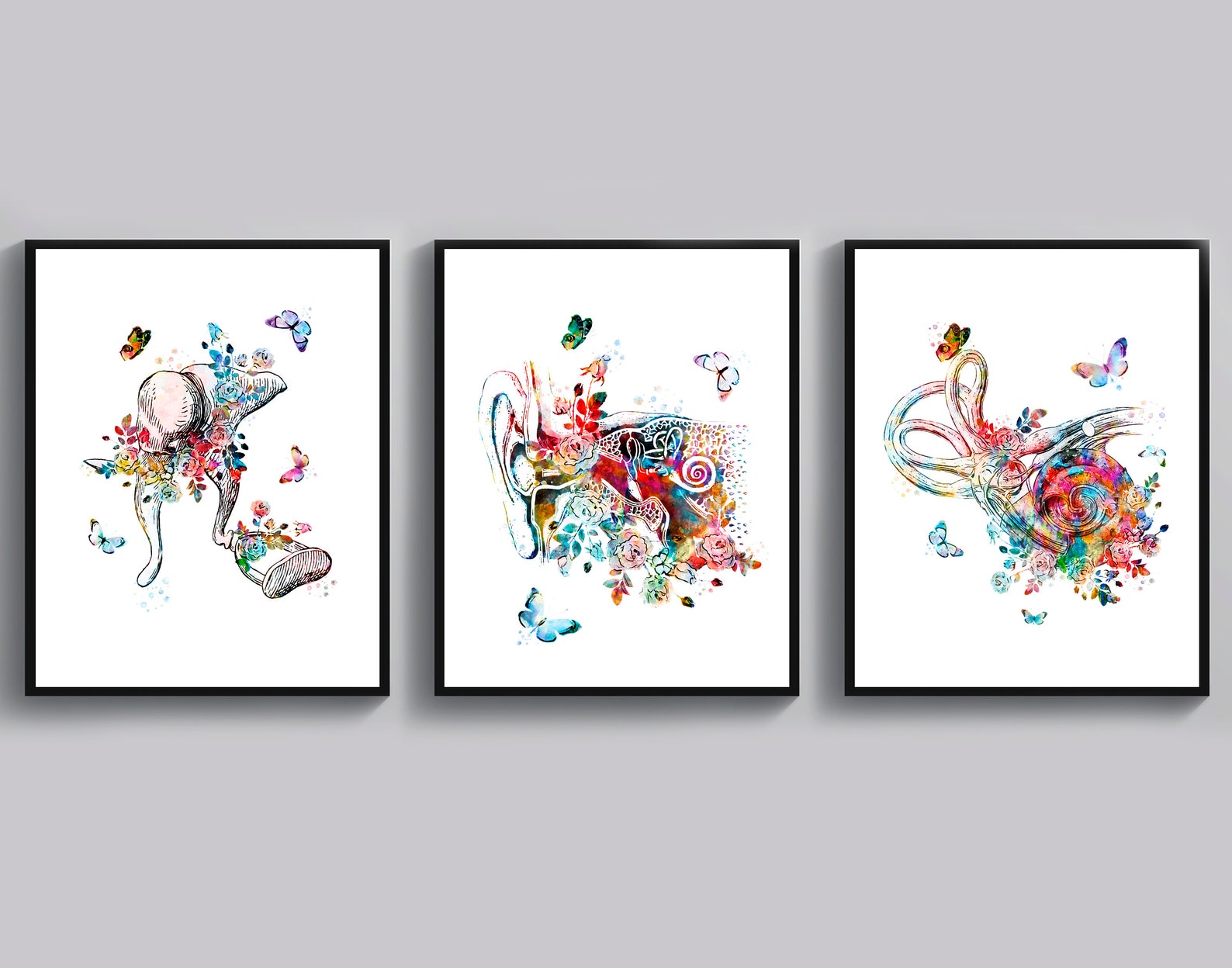 Watercolor Ear Anatomy Artwork, Human Ear Structure, Cochlea Art ...