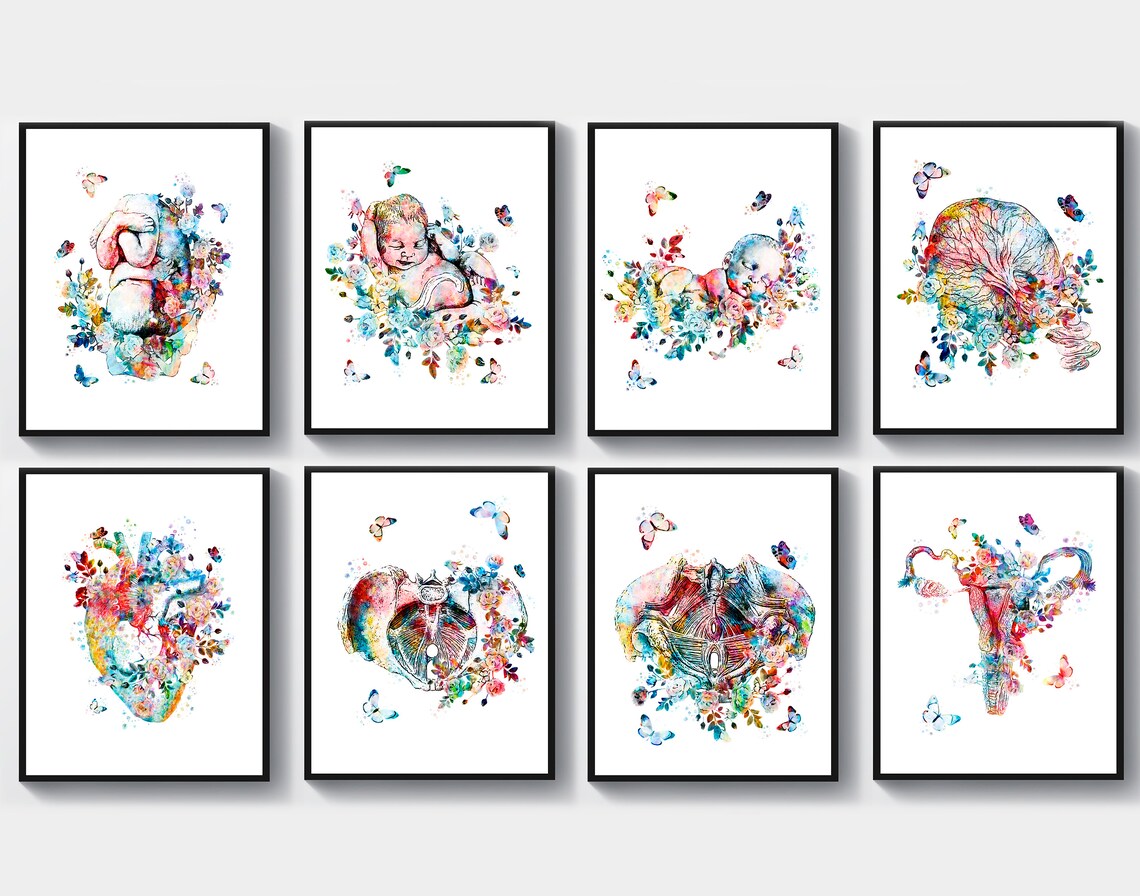 8 Fetal Development Art Pregnancy Poster Midwifery Art Baby in - Etsy