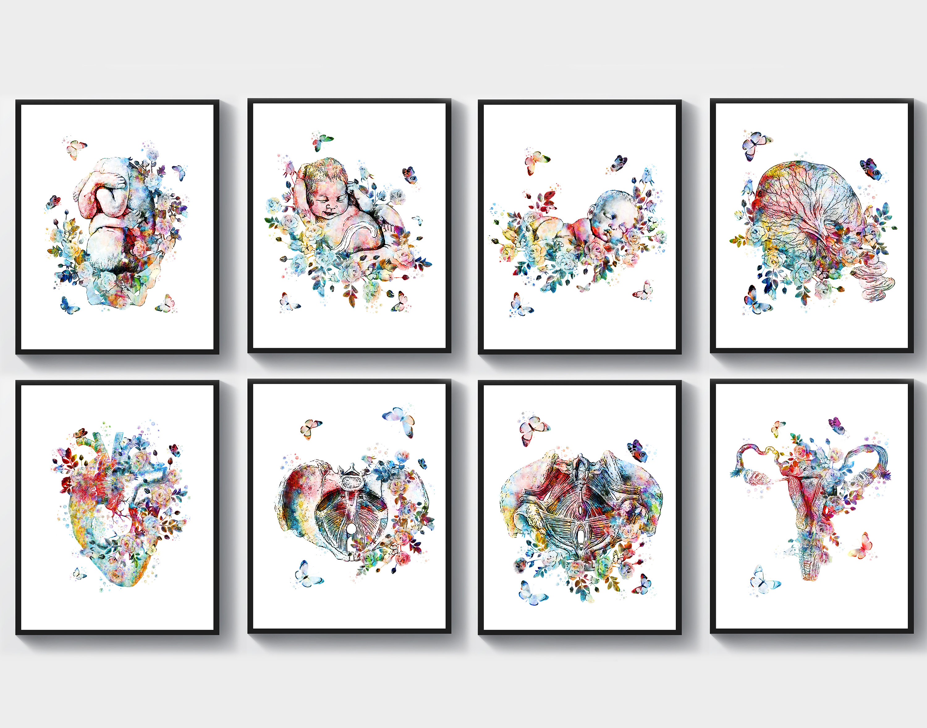 8 Fetal Development Art Pregnancy Poster Midwifery Art Baby in - Etsy