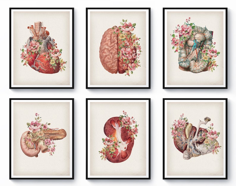 Set 6 Anatomy Wall Decor Medical Illustration Doctor | Etsy