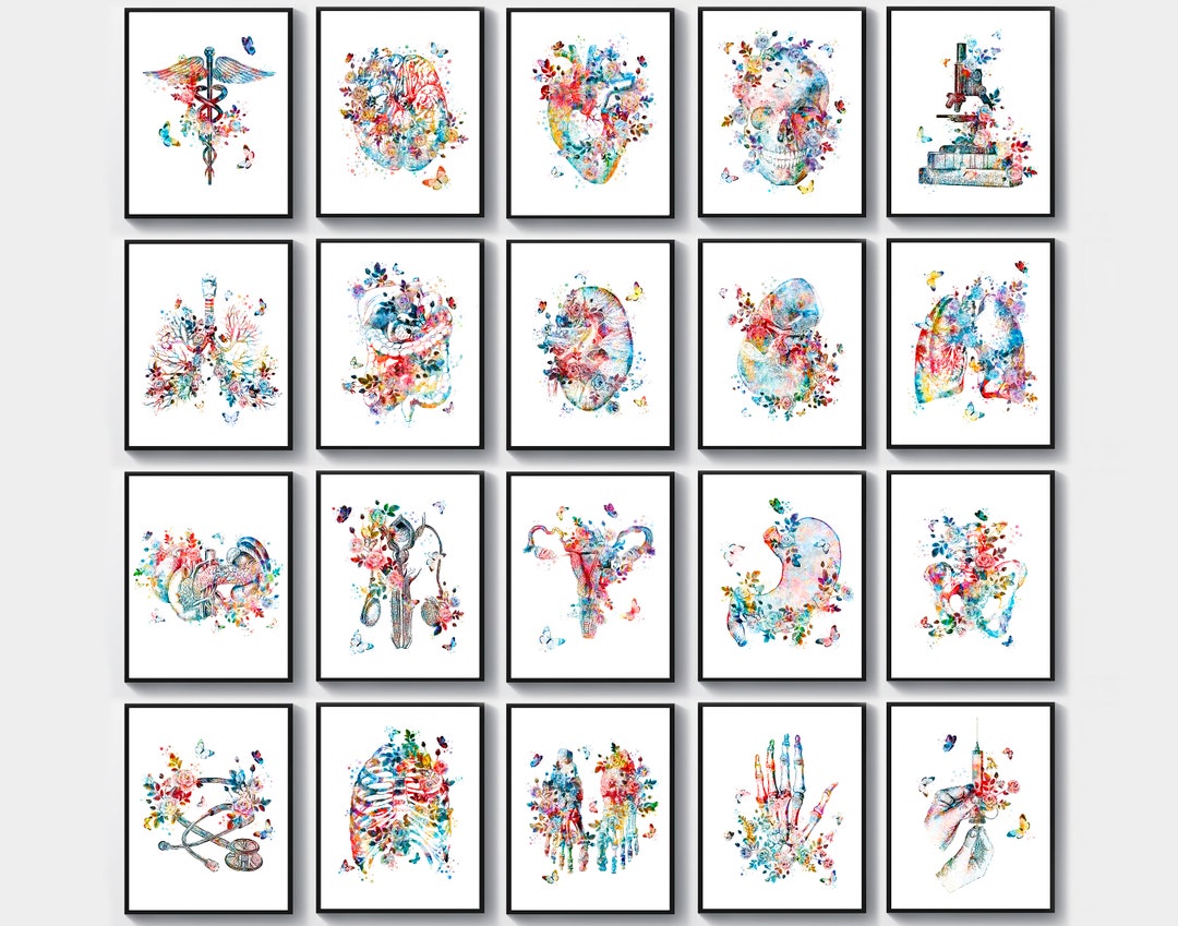 20 Watercolor Anatomy Art Medical Painting Clinical Decor Medical ...