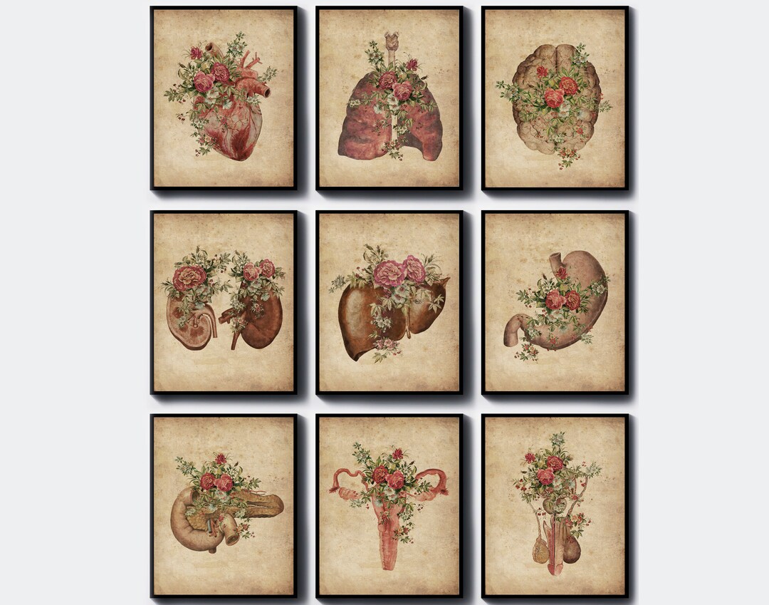 9 Vintage Anatomy Drawing Antique Medical Illustration Doctor Gift ...