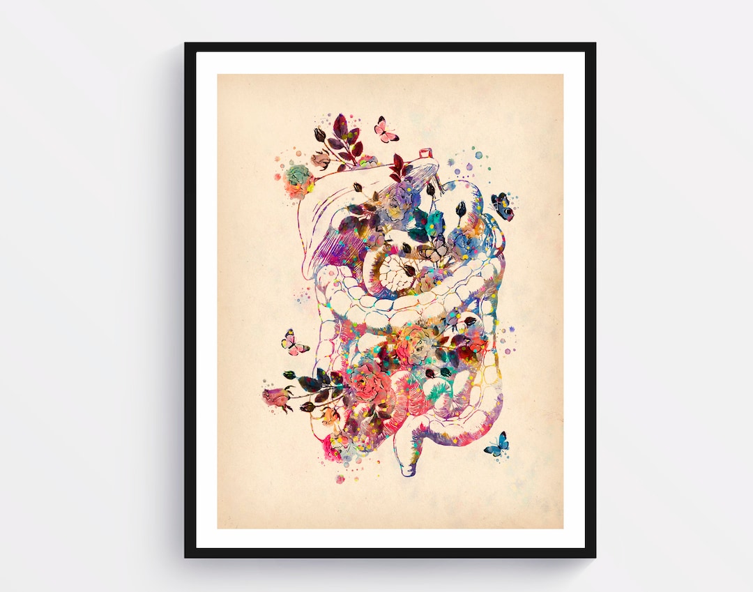Floral Digestive System Art Vintage Anatomy Art Medical Artwork ...