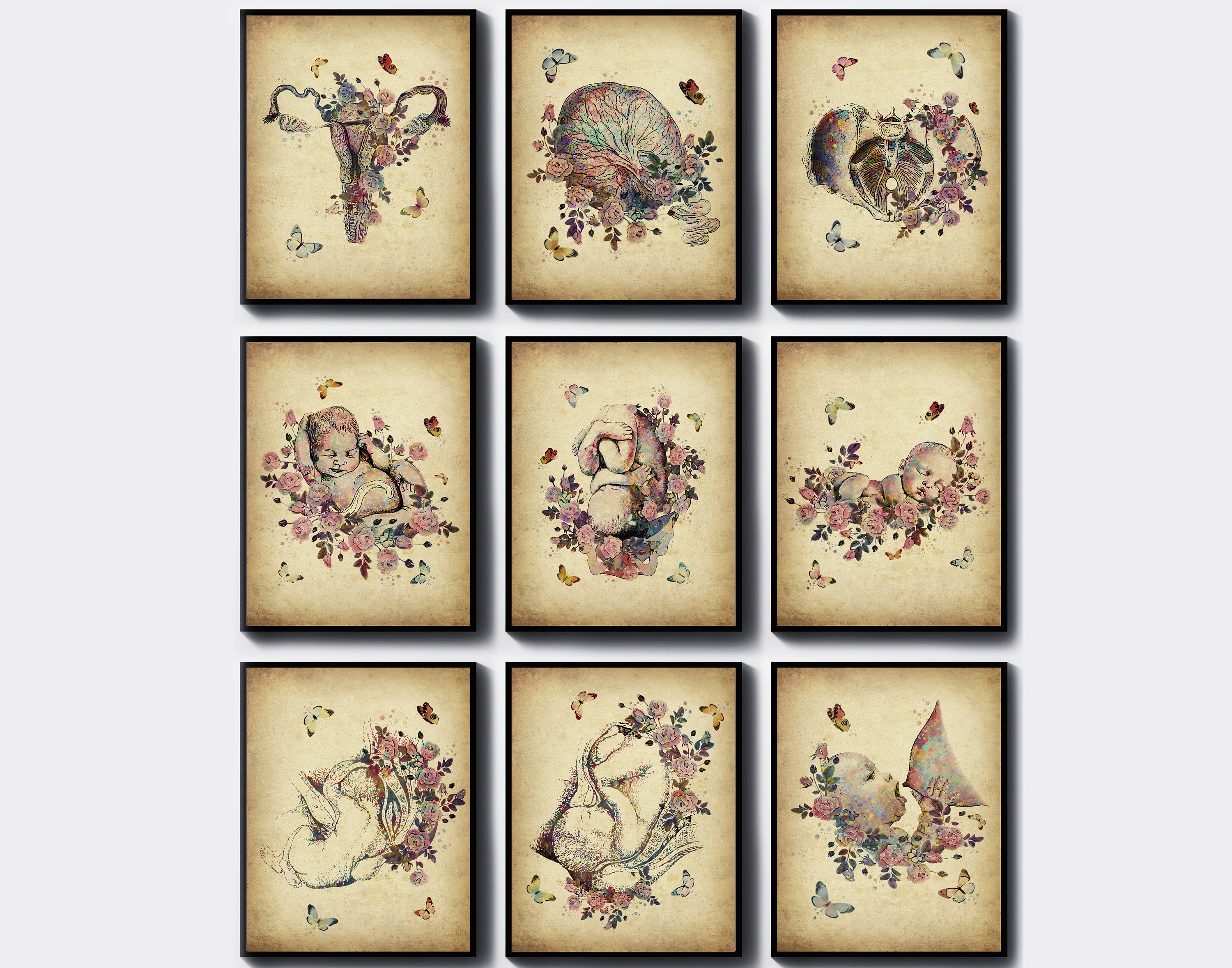 Vintage Pregnancy Art Set 9 Obstetrics Poster Obgyn Drawing | Etsy