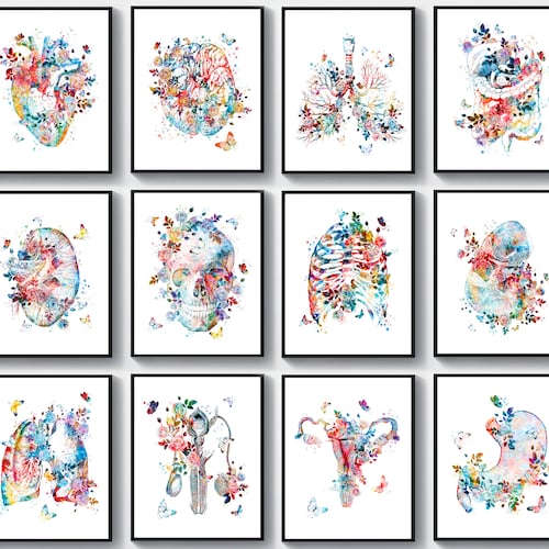 Anatomy Set 12 Watercolor Medical Art Human Anatomical Organs - Etsy