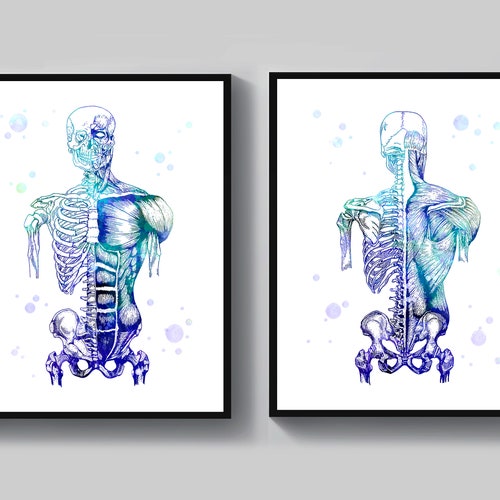24 Skeleton Poses Art Skeleton Anatomy Poster Medical Decor - Etsy