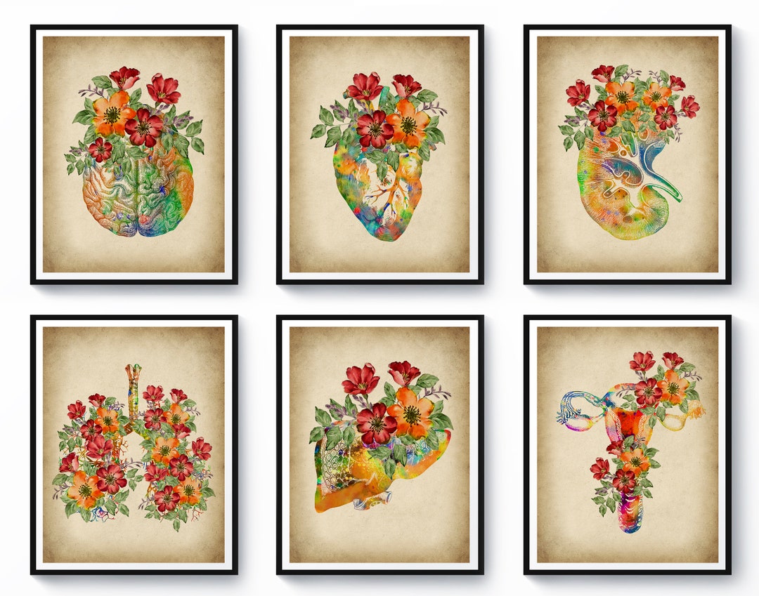 6 Anatomical Decor, Vintage Medical Drawing, Floral Anatomy Artwork ...