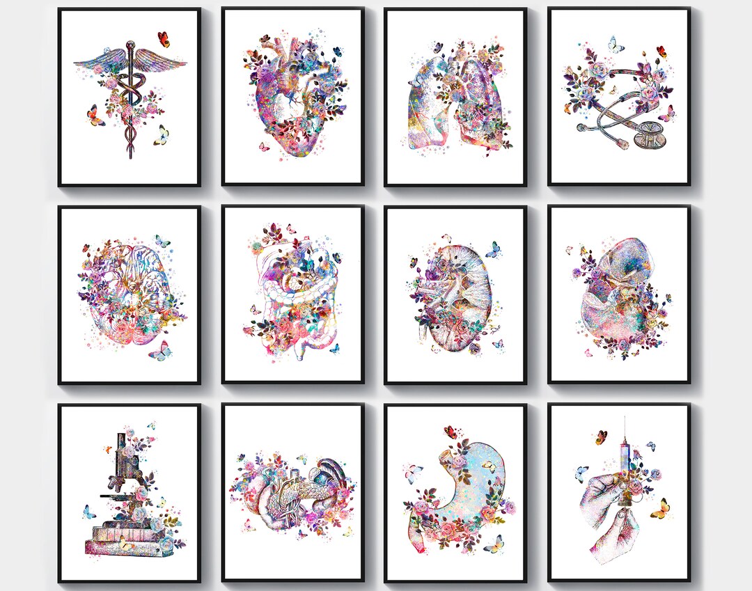 12 Watercolor Anatomy Art, Physiology Art, Floral Anatomy Artwork ...