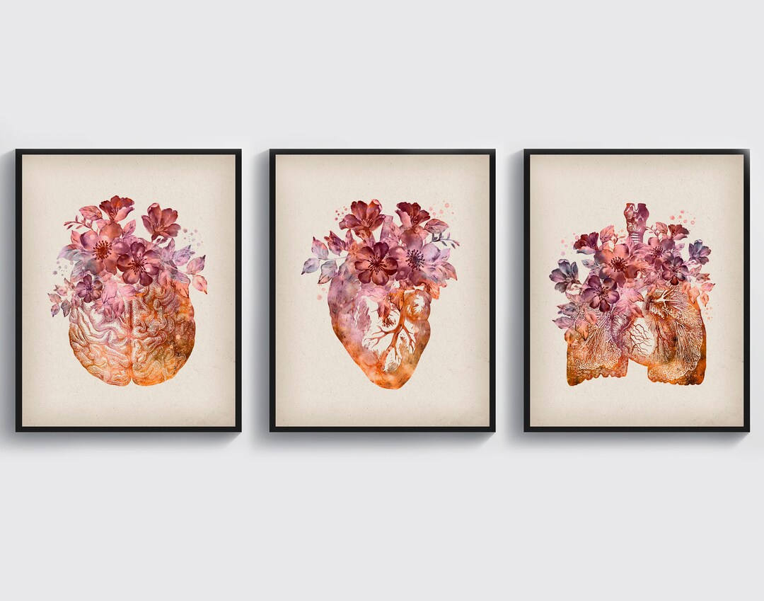 Set 3 Vintage Anatomy Art Medical Decor Doctor Gift Anatomical Heart ...
