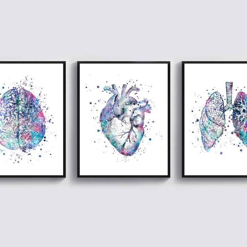 Anatomy Heart Artwork - Etsy