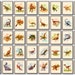 40 Dinosaurs Types Poster Set Jurassic Dinosaur Art Tyrannosaurus ...