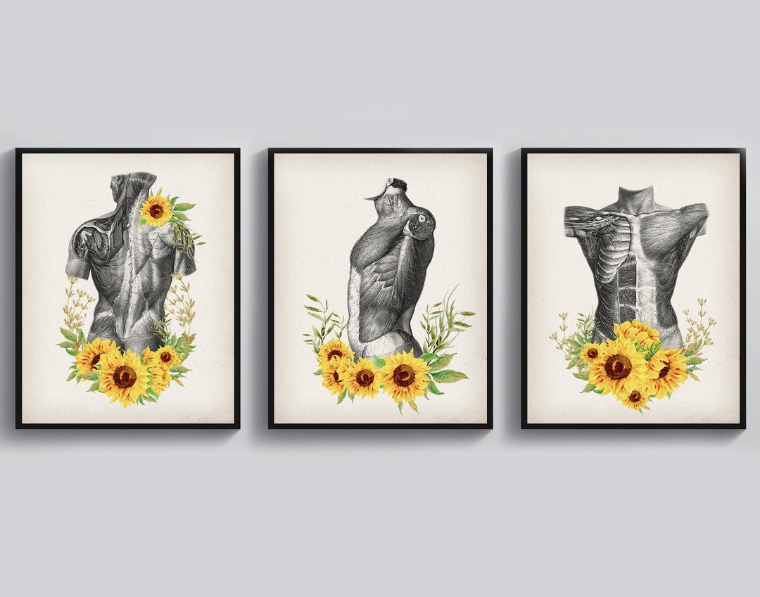 3 Anatomy and Flowers Art Vintage Medical Art Sunflowers Art Human ...