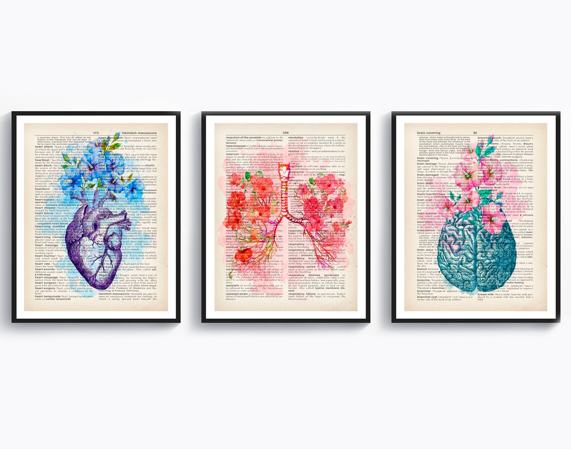 Set 3 Watercolor Anatomy Art Anatomical Organ Drawing - Etsy