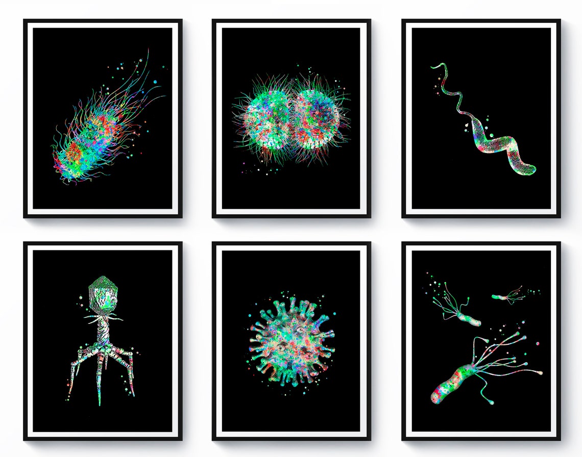 6 Microorganism Art Bacteria Art Microbiology Art Microbe Art - Etsy