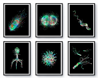 5 Microbiology Bacteria Art Posters Science Art Biologist Gift Microbe ...