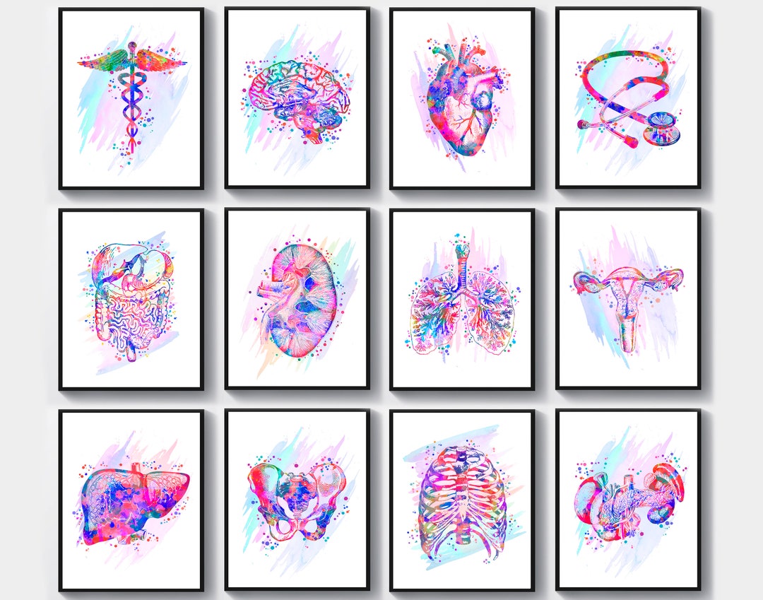 12 Anatomy Artwork Watercolor Medical Art Caduceus Art Anatomical ...
