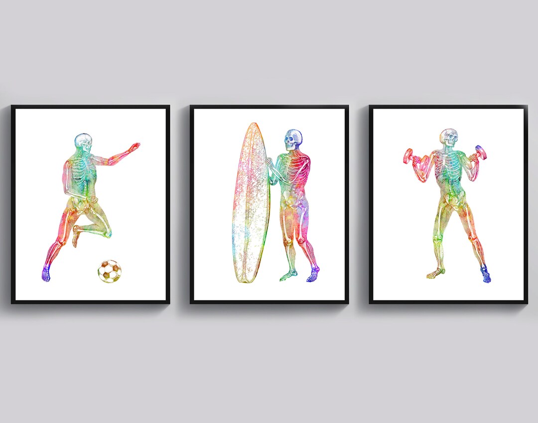 3 Sports Therapy Posters Skeletal System Anatomy Art Physical Therapist ...