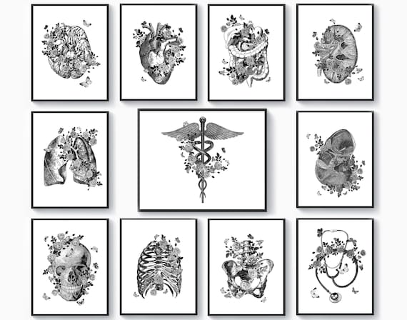 11 Black White Anatomy Artworks Medical Art Physiology Drawing - Etsy