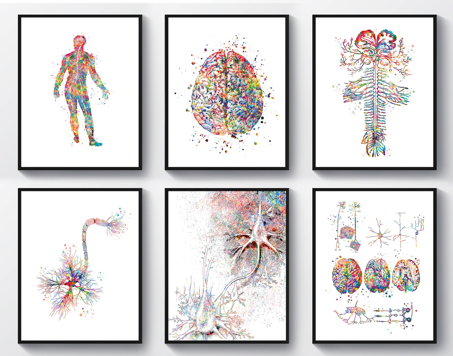 Set 6 Neuroscience Art Neurology Art Anatomical Brain Nervous System ...