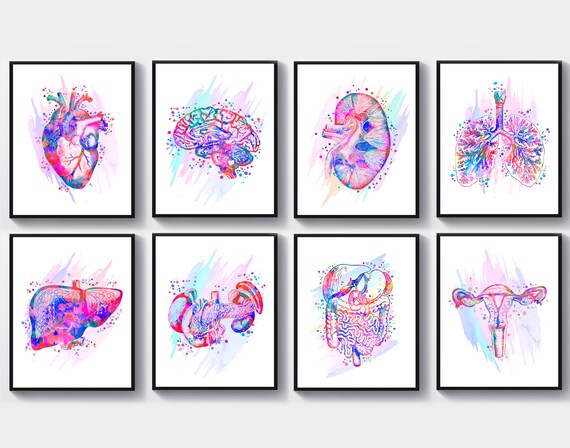 Set 8 Watercolor Anatomical Organ Art Medical Art Anatomical | Etsy