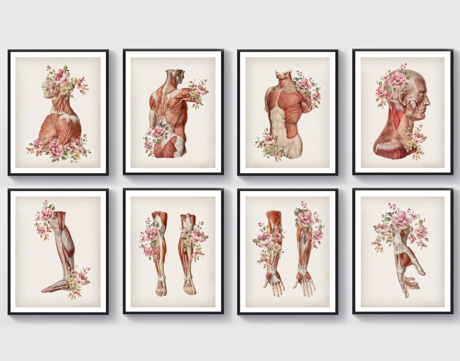 Set 8 Anatomy, Body Art, Muscular System Poster, Medicine Artwork ...