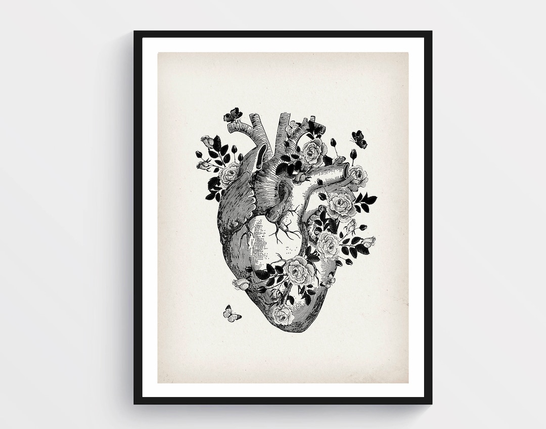 Heart Anatomy Art Medical Art Science Art Cardiology Art - Etsy