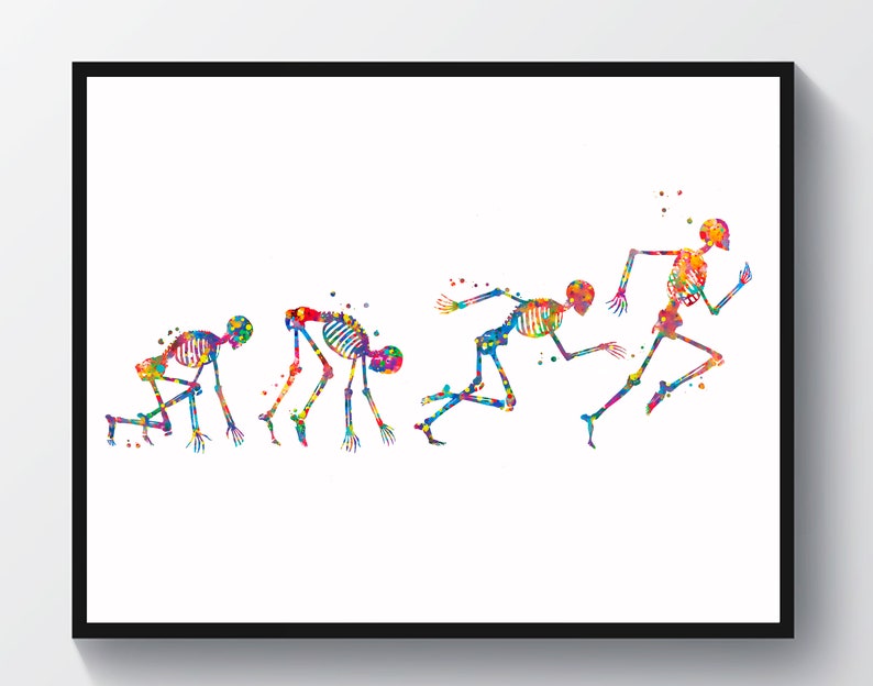 Starting Running Phases Art Runner Gift Skeletal Biomechanics - Etsy