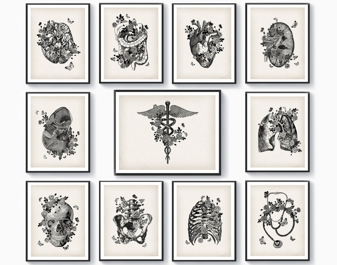11 Human Anatomy Art Anatomical Wall Decor Medical Artwork Heart ...