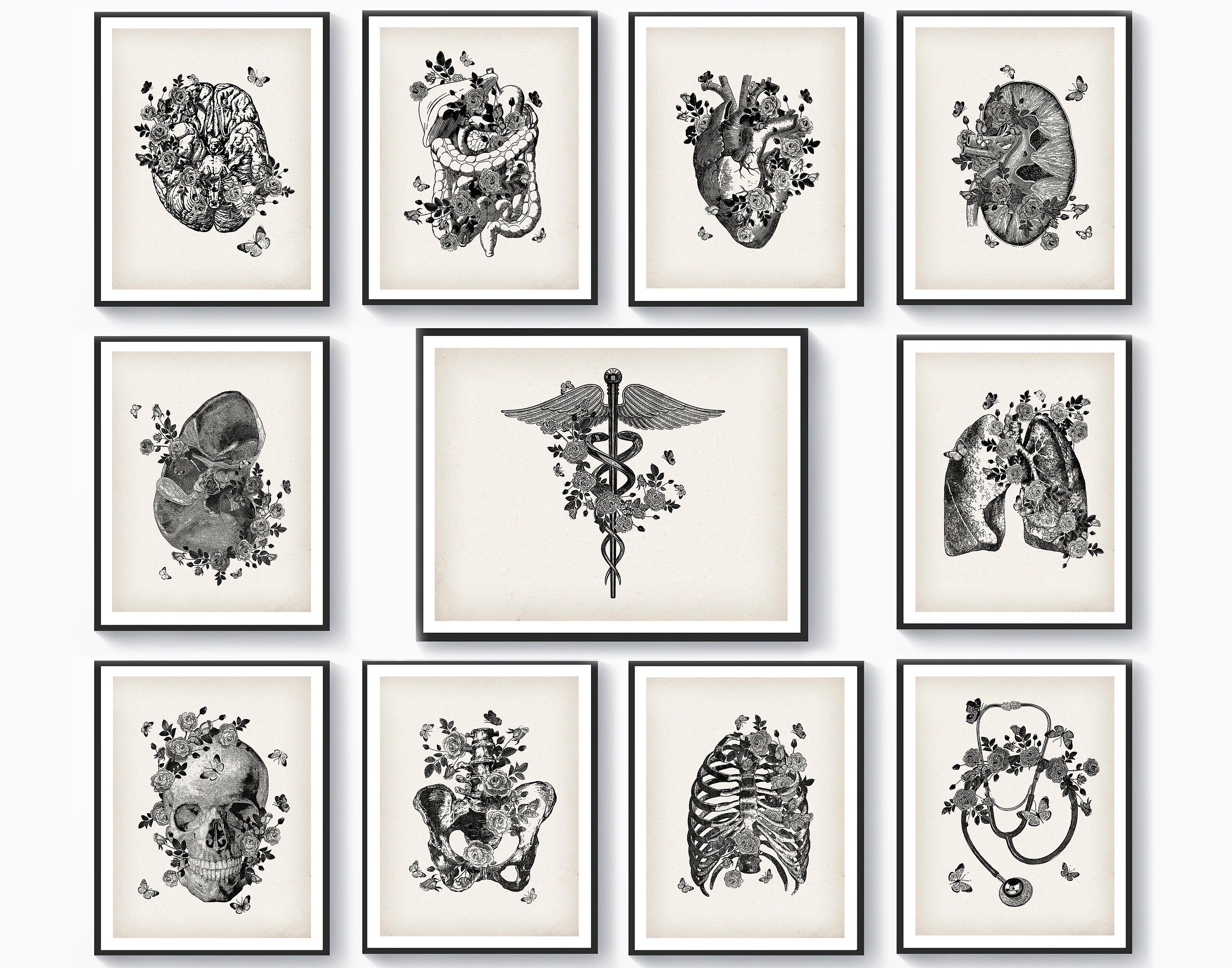 11 Human Anatomy Art Anatomical Wall Decor Medical Artwork Heart ...