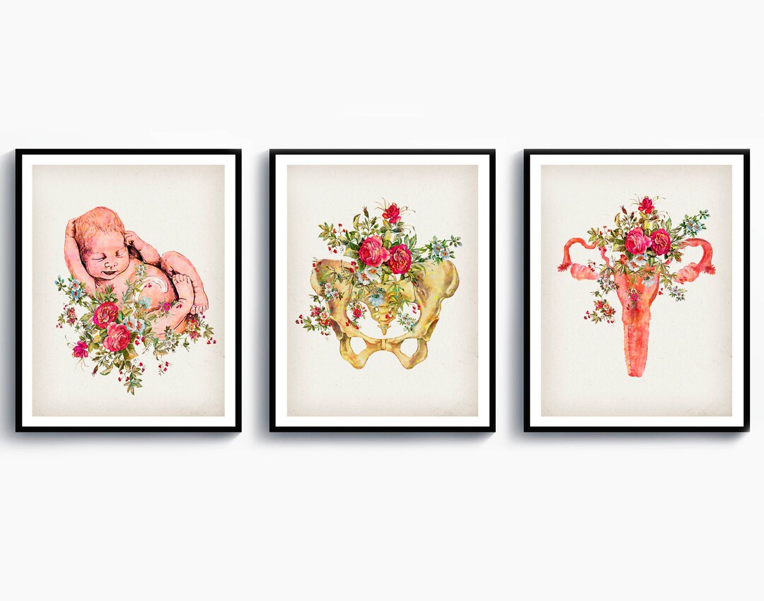 3 Pregnancy Art Anatomy Art Midwife Art Infant Art Pelvis Art Uterus ...