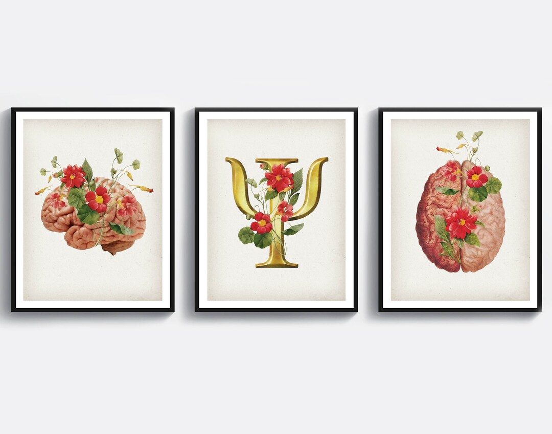 3 Brain Anatomy Art Medical Art Science Art Psi Symbol Art Psychologist ...