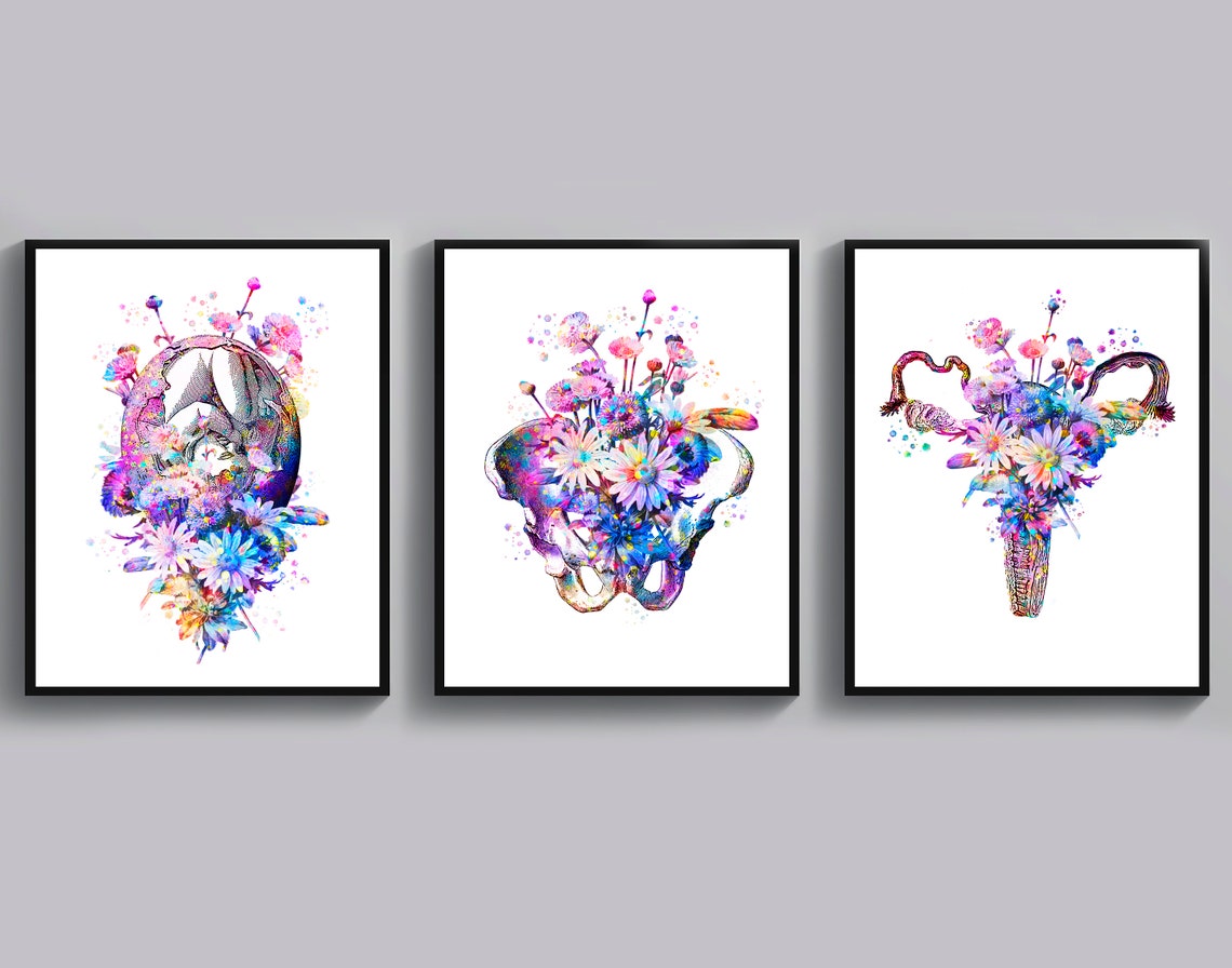Set 3 Pregnancy Art Fetus and Flowers Drawing Female Uterus - Etsy
