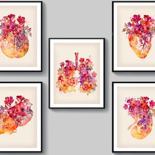 6 Medical Art Vintage Anatomy Decor Anatomical Heart Lungs - Etsy