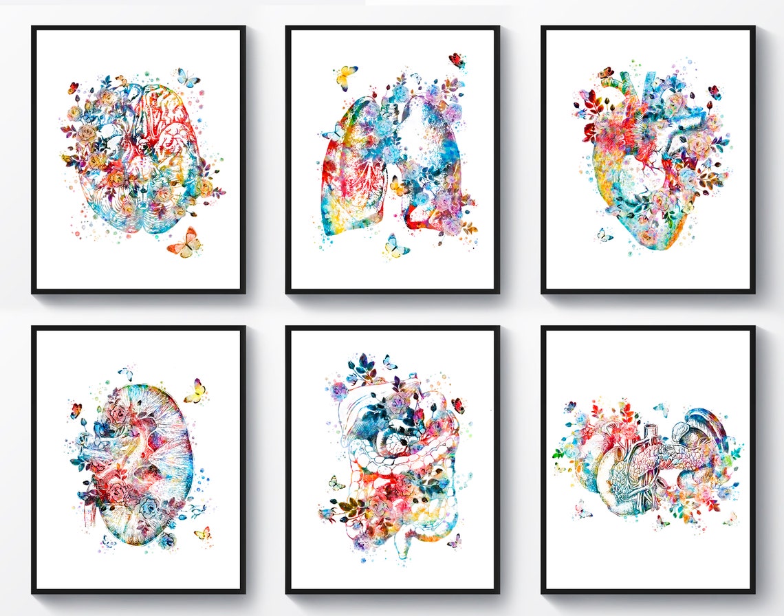 6 Watercolor Anatomy Art Medical Decor Anatomical Organ Drawing Floral ...