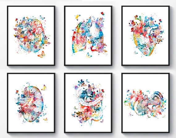 6 Watercolor Anatomy Art Medical Decor Anatomical Organ - Etsy