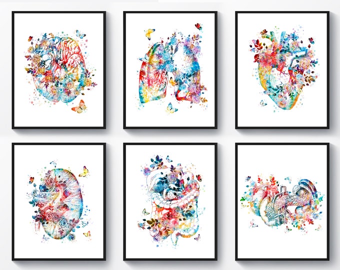 6 Watercolor Anatomy Art Medical Decor Anatomical Organ - Etsy