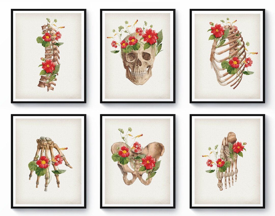 Set 6 Vintage Anatomy Art Medical Art Skeletal System Poster Floral ...