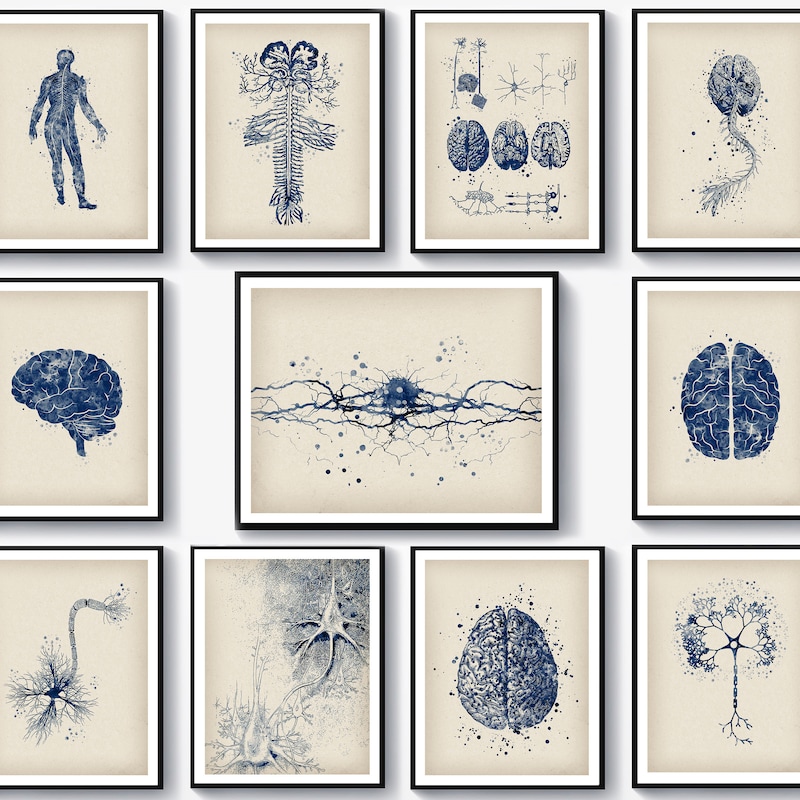 Human Cell Art - Etsy
