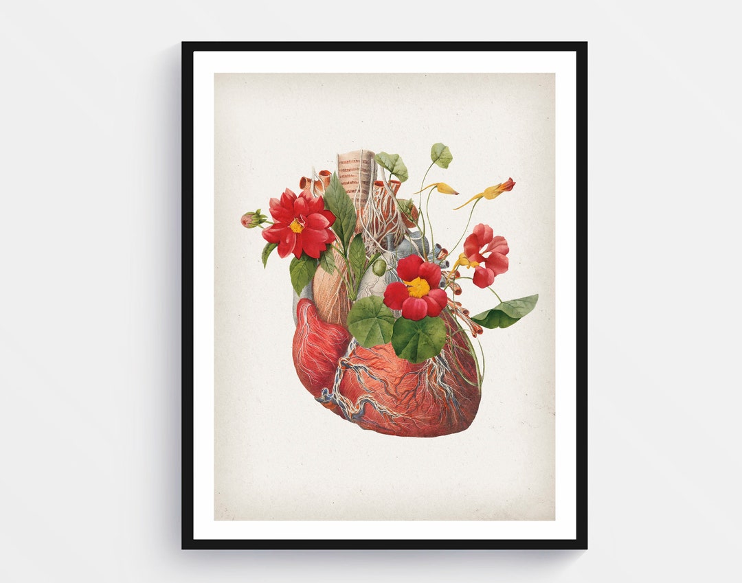 Vintage Heart Art Anatomy Art Cardiovascular System Art Cardiology Art ...