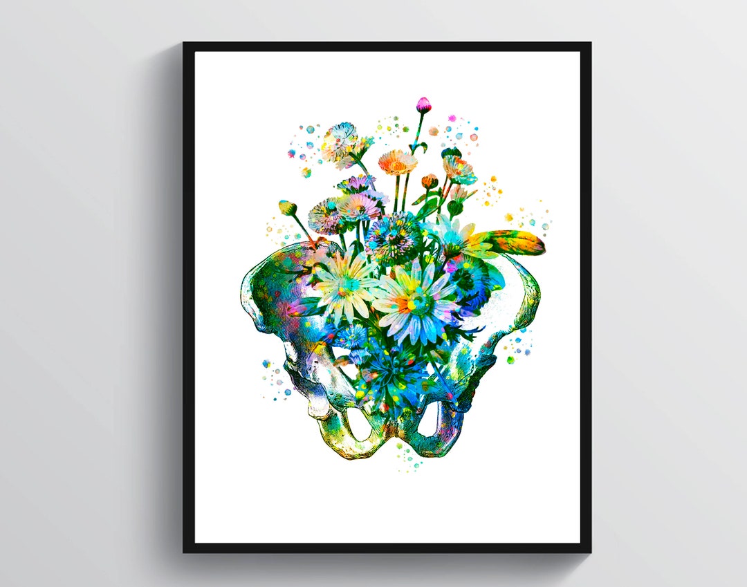 Floral Pelvis Art, Watercolor Anatomy Art, Skeletal System Art, Obgyn ...
