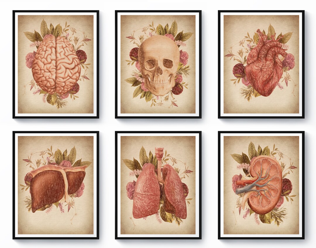 Anatomical Drawing Set 6, Vintage Medical Artwork, Floral Anatomy ...