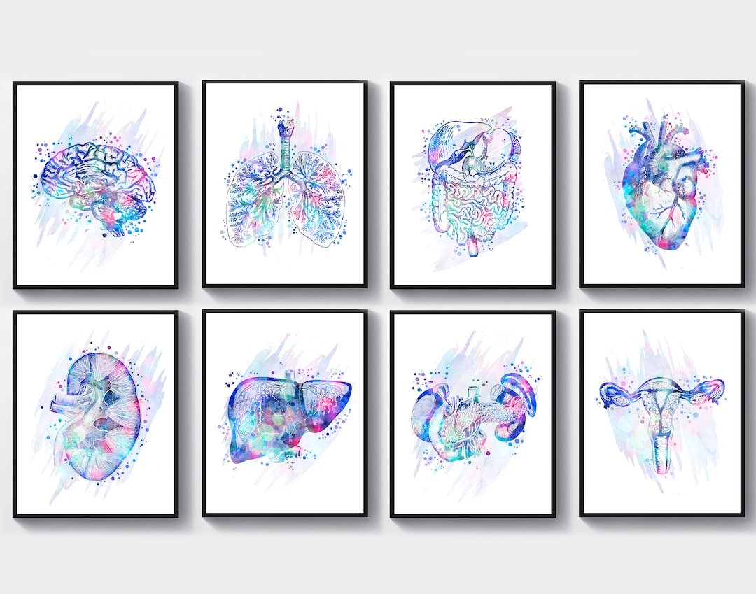 8 Watercolor Anatomy Artwork Surgeon Gift Medical Art Human Organ Art ...