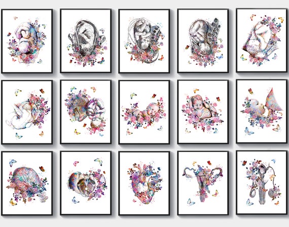 Childbirth Art Set 15 Watercolor Baby Artwork Newborn Baby | Etsy