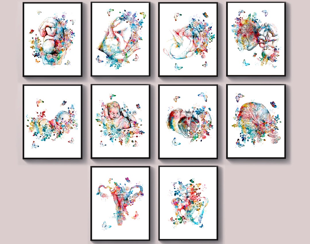 10 Pregnancy and Birth Art, Childbirth Poster, Floral Newborn Baby ...