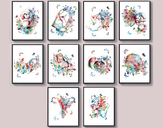 10 Pregnancy and Birth Art Childbirth Poster Floral Newborn - Etsy
